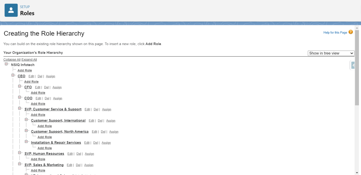 How to Manage User, Profile, and Role in Salesforce - NSIQ
